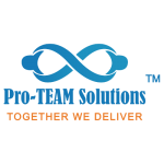 Home | Pro-Team Solutions